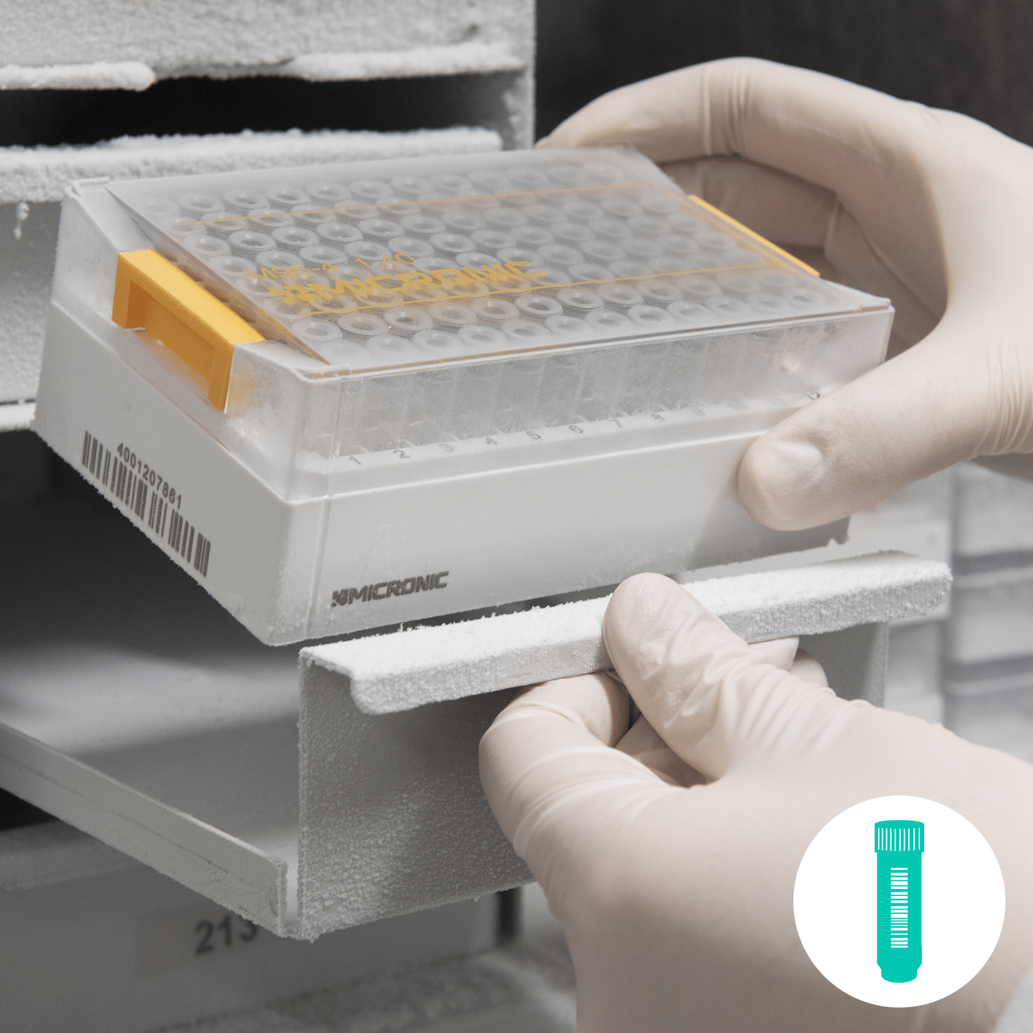 Home - NBS Scientific UK